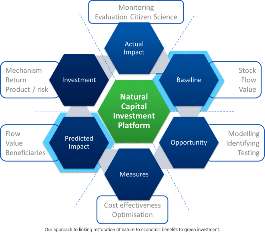 Binnies bridges the gap between green investment and nature recovery ...