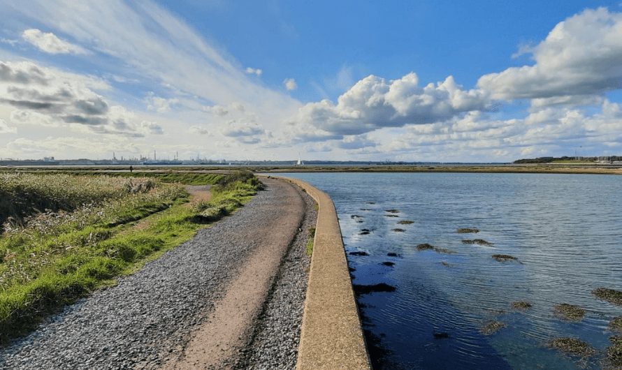 Binnies working in partnership with Coastal Partners to develop a new ...