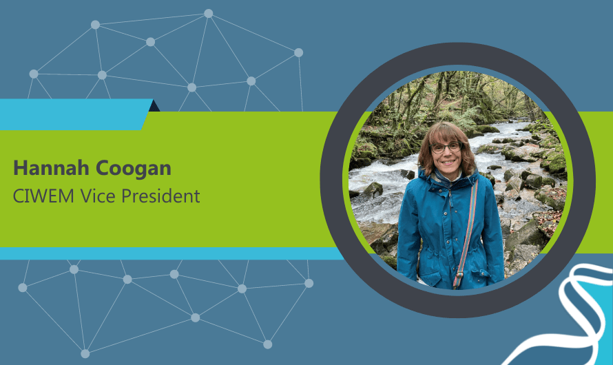 New CIWEM vice president - Binnies